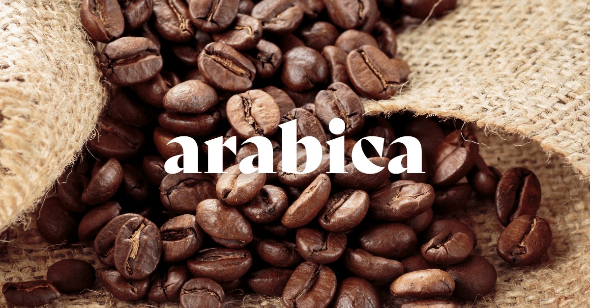 Café Arábica: origen, sabor, variedades y cómo prepararlo para ...